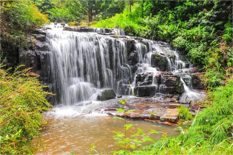 King's Lodge – Hogsback – King's Lodge – Hogsback