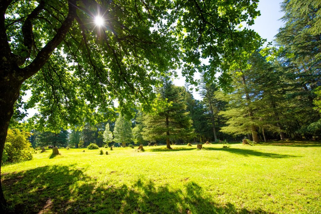 King's Lodge – Hogsback – King's Lodge – Hogsback